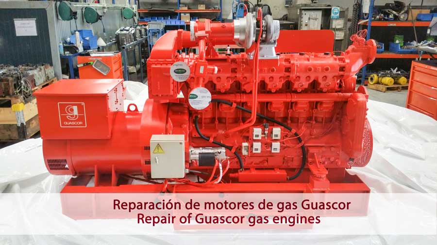 Naprawa silników Guascor - Rsmotorps